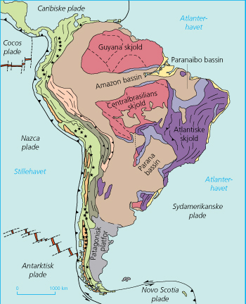 Egestal Illustration