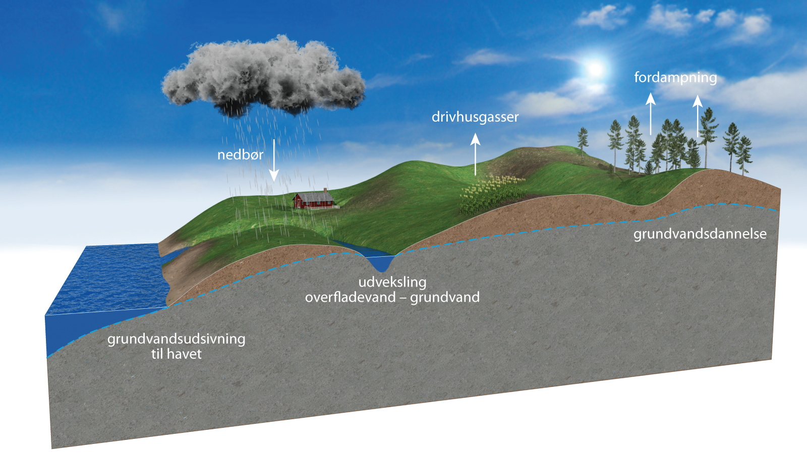 Egestal Illustration